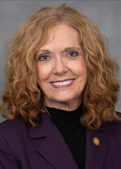 Representative Cynthia Ball | Lillian's List Foundation